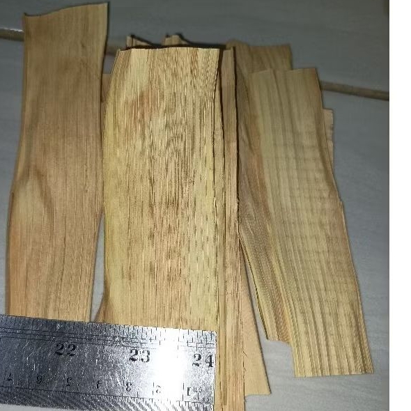Jual Daun kawung daun aren kering 100 lembar | Shopee Indonesia