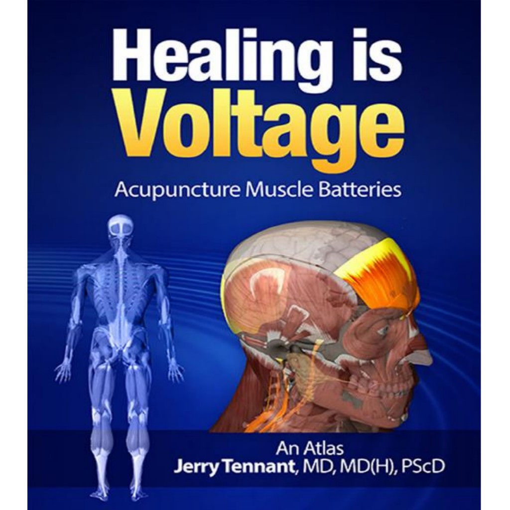 Jual [ENG50] Healing is Voltage, Accupuncture Muscle Batteries, An ...