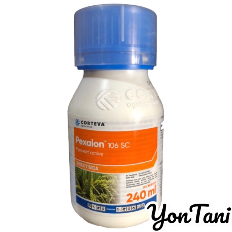 Jual Pexalon 240 ML | Shopee Indonesia