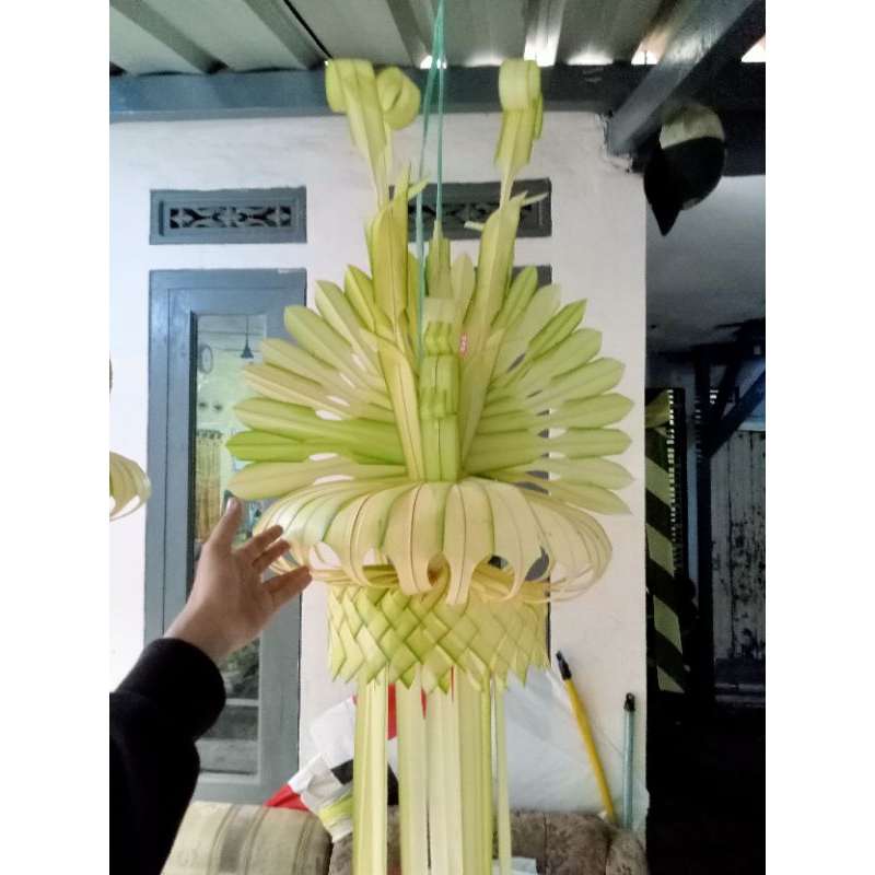 Jual Janur kuning Pernikahan/Khitanan asli segar CIMAHI BDG PADALARANG ...