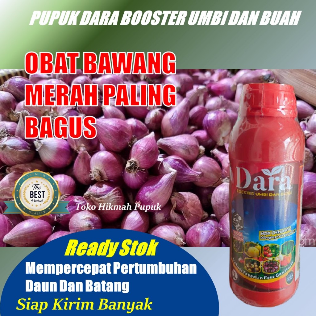 Jual Pupuk Anti Hama Tanaman Bawang Merah DARA 500 ML Pupuk Organik Penyubur Bawang Merah - Obat ...