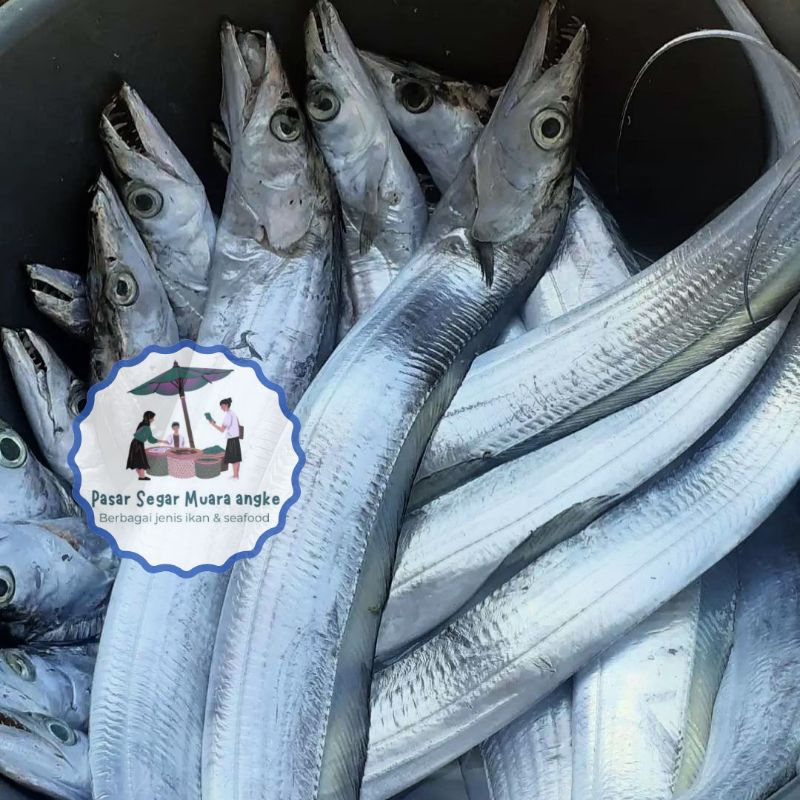 Jual Ikan Layur Segar Seafood hasil laut segar 1 kg | Shopee Indonesia