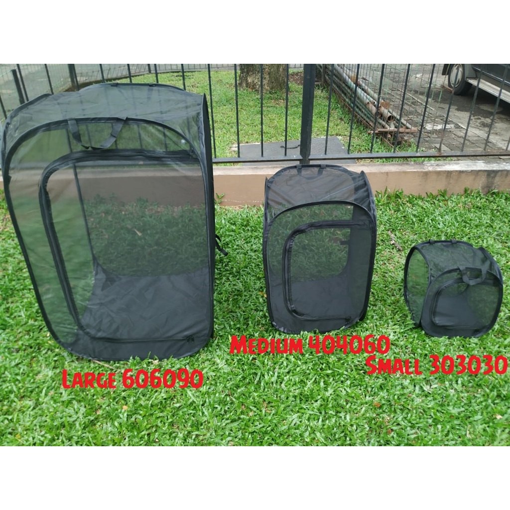 Jual Foldable Breeding Insect Cage Large 60x60x90cm Terrarium Vivarium ...
