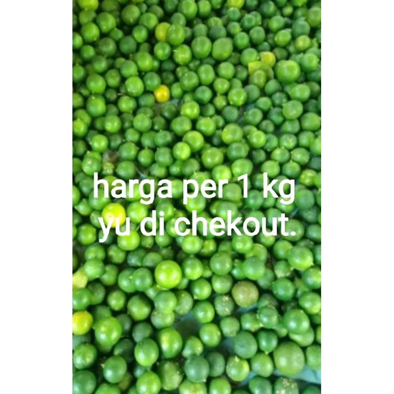 Jual jeruk songkit | Shopee Indonesia