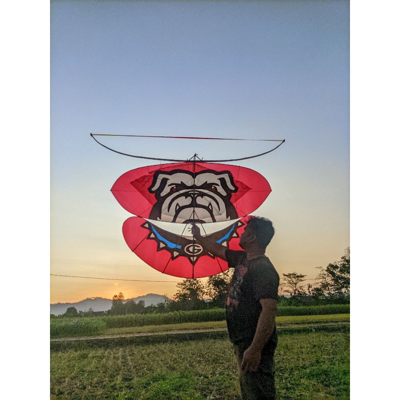Jual layangan babon angkrem | Shopee Indonesia