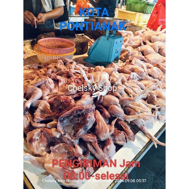 Jual Produk Ayam Segar Pasar Pagi Flamboyan | Shopee Indonesia
