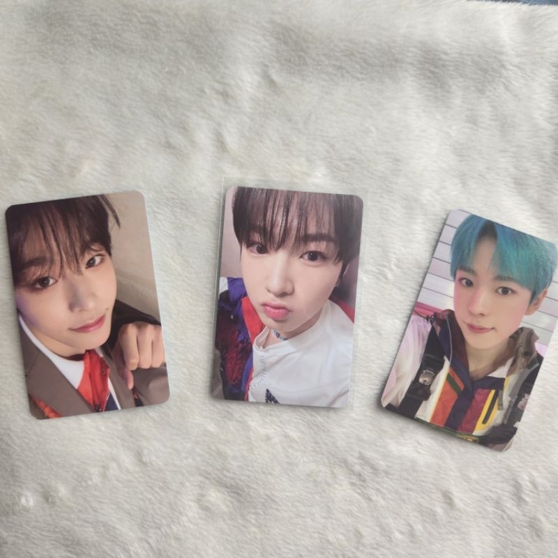 Jual Photocard Songbird Smini Yushi Riku Sakuya Official NCT WISH | Shopee Indonesia