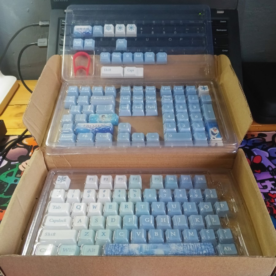 Jual Keycaps Frozen PBT | Shopee Indonesia