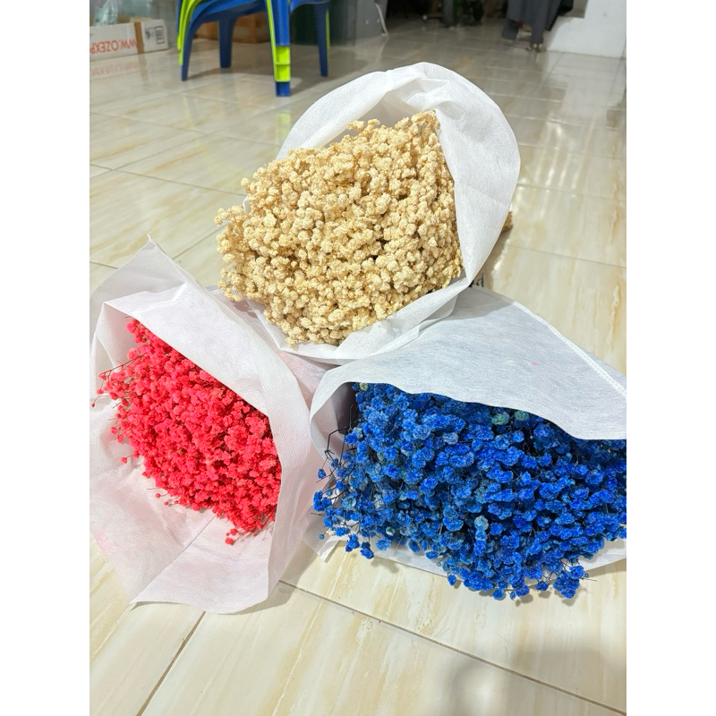 Jual {25gr} {50gr} {100gr} Preserved baby breath flower / Dried Flower ...