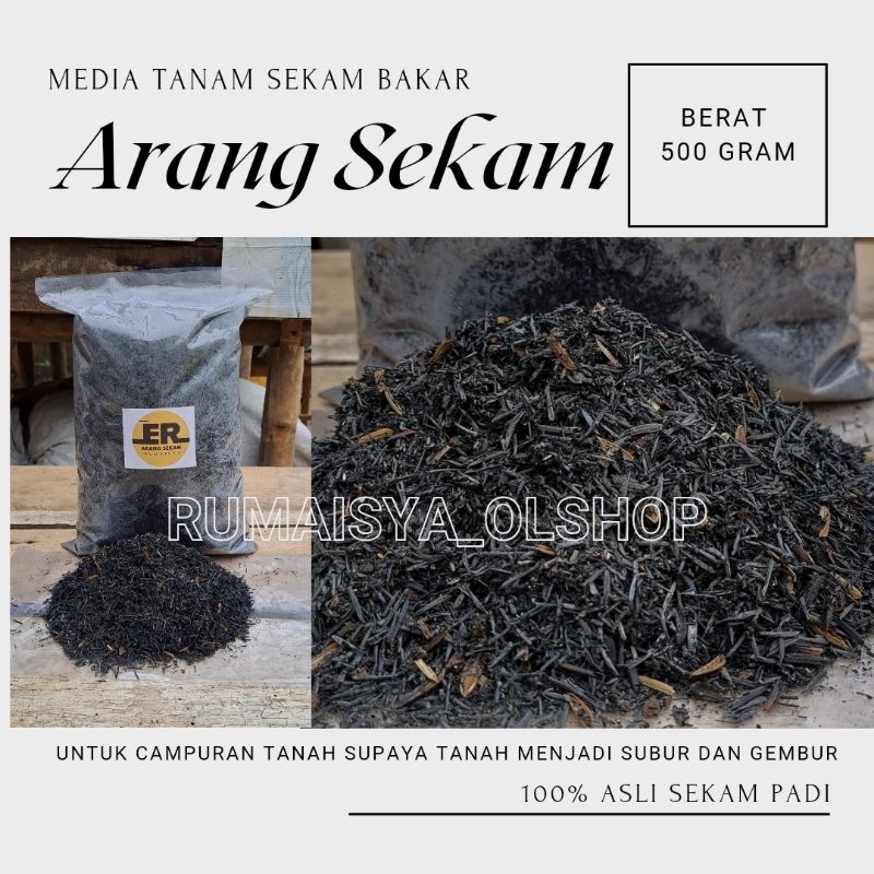 Jual Arang sekam padi sekam bakar padi media tanam cocok untuk tanaman ...