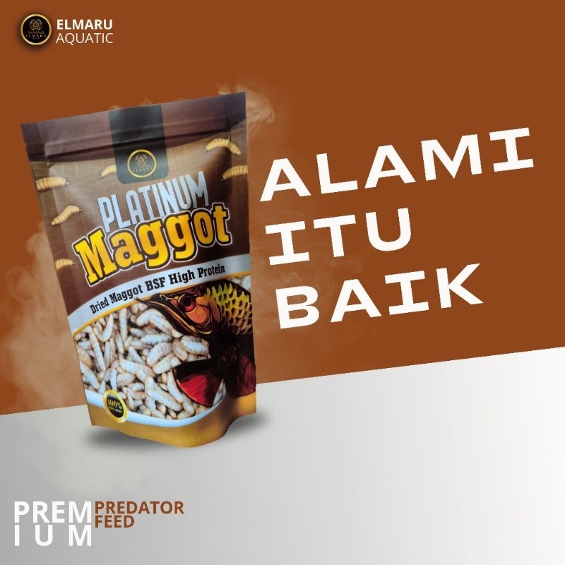 Jual PLATINUM Dried Maggot Kering Alami Ikan Arowana Arwana Super Red ...