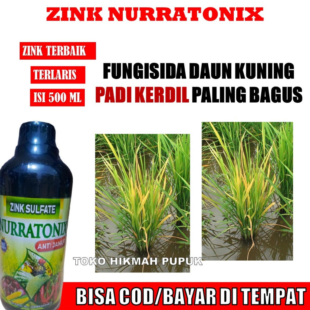 Jual 500 ML BIOPATEK OBAT PADI KERDIL DAUN KUNING TERBAIK - Pupuk Padi Daun Kuning/Virus Kuning ...