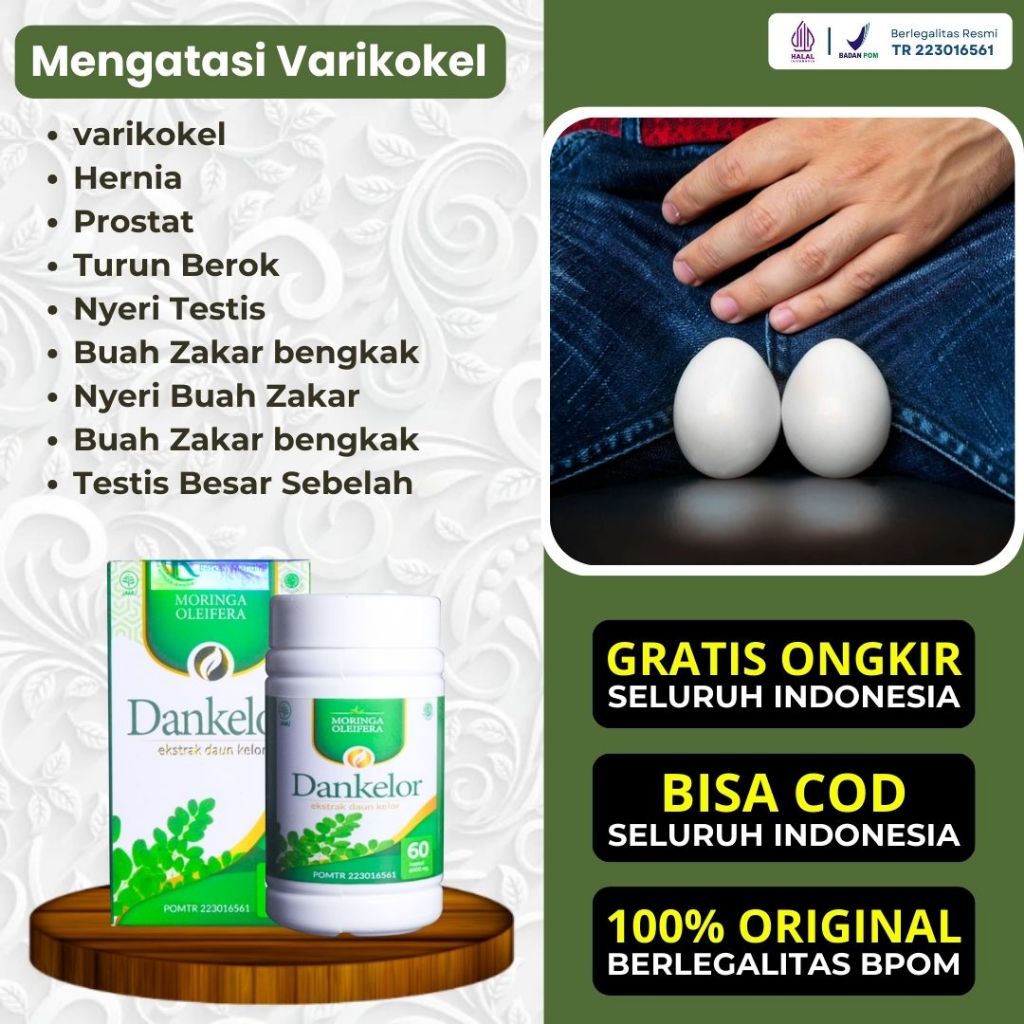 Jual Obat Hernia Ampuh Turun Berok Varikokel Buah Zakar bengkak Sebelah ...