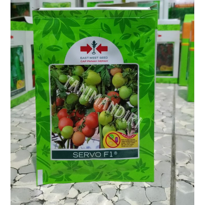 Jual Benih Tomat Servo F1 isi 1750 butir | Shopee Indonesia