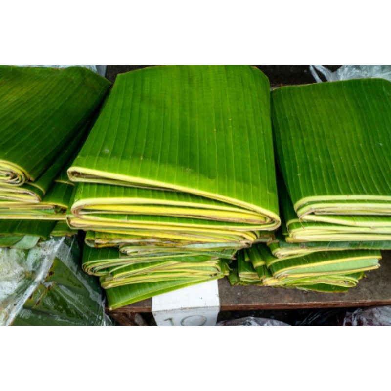 Jual Daun pisang 1 kg | Shopee Indonesia