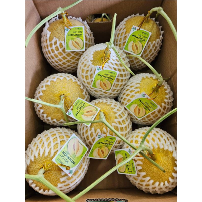 Jual Melon Premium Inthanon ± 2kg - Melon Manis Lembut Beraroma ...