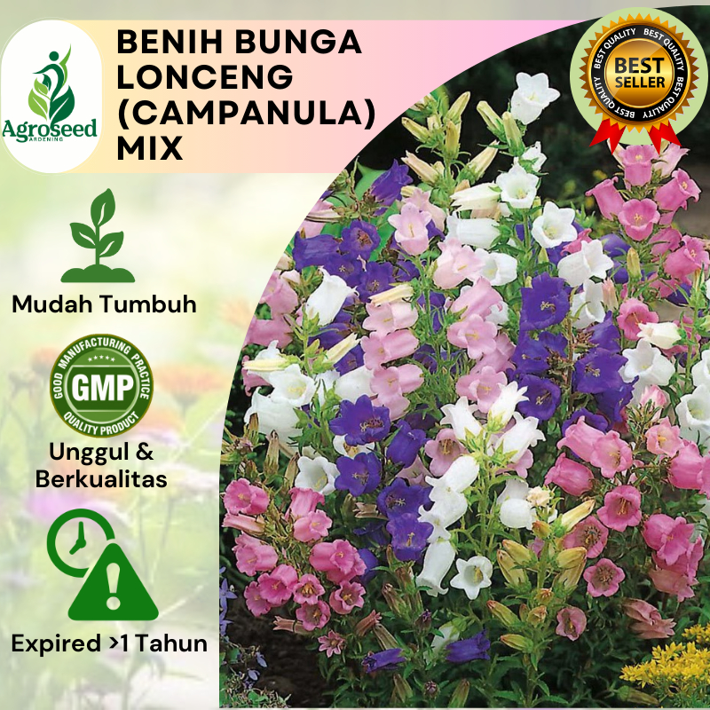 Jual 5-10 Benih bunga Lonceng Mix cantik Benih Unggul Cepat Tumbuh ...