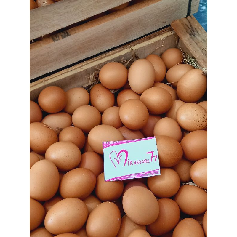 Jual TELUR AYAM NEGERI 1KG | Shopee Indonesia
