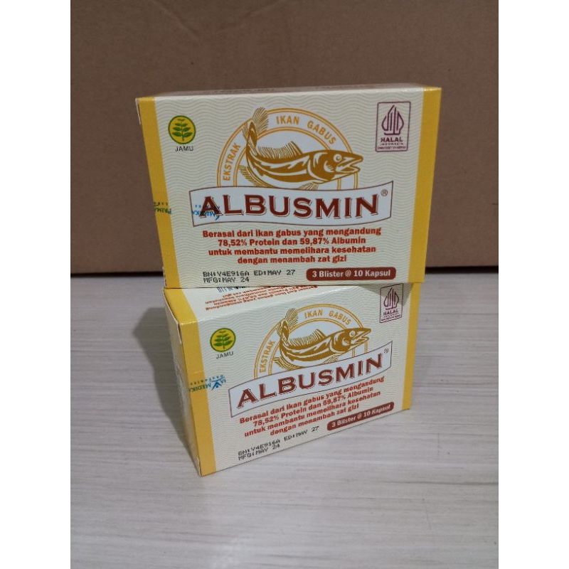 Jual Albusmin ekstrak ikan gabus / box 30 tablet /strip 10 tablet ...