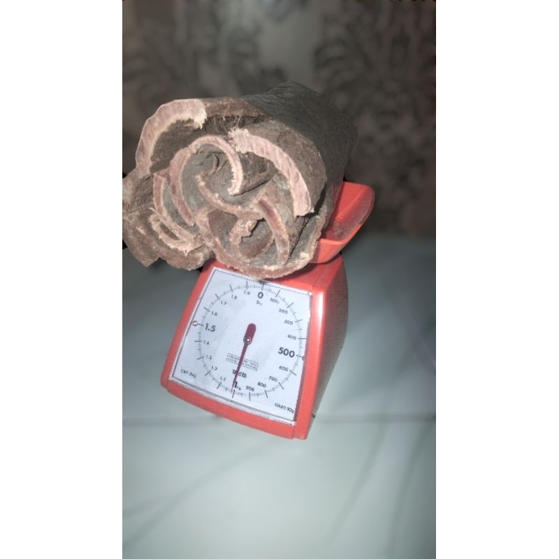 Jual raru KULIT KAYU RARU ASLI ,harga 1 kilo bersih | Shopee Indonesia