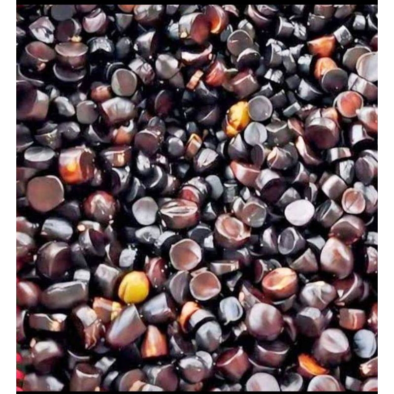 Jual kabau atau jolang jaling asli Sumatra per 250g | Shopee Indonesia