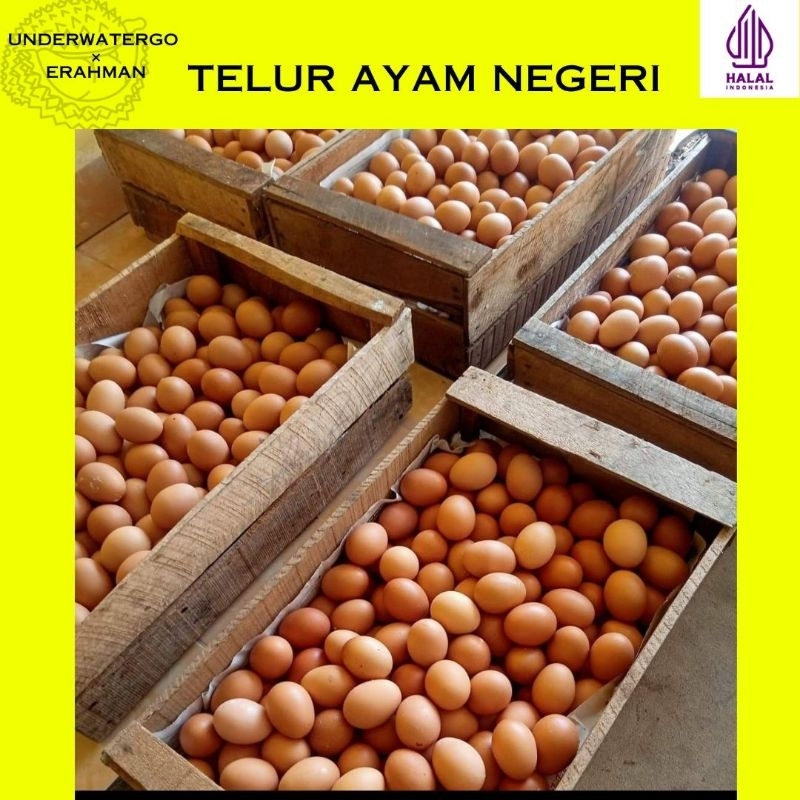 Jual TELUR AYAM NEGERI PREMIUM 1KG ISI 17 BUTIR TERMURAH | Shopee Indonesia