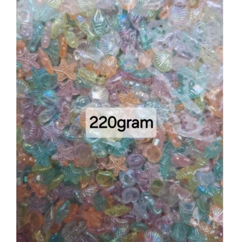 Jual mute biota laut bening kilap (-+220gram) | Shopee Indonesia