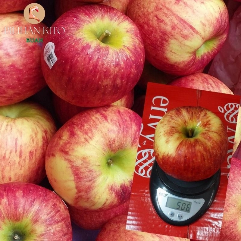 Jual apel envy jumbo premium | Shopee Indonesia