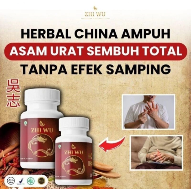 Jual ZHI WU Obat Asam Urat Rematik Dan Nyeri Sendi 1 box | Shopee Indonesia