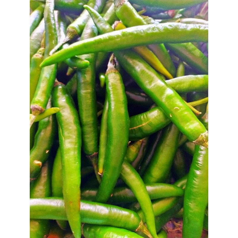 Jual cabe ijo segar 500 gr | Shopee Indonesia