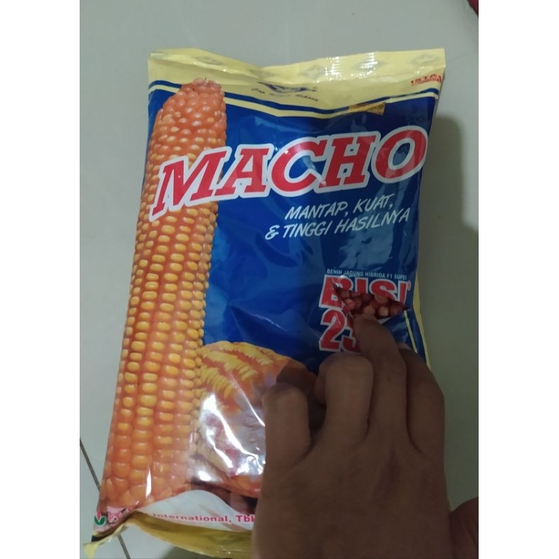 Jual Benih bibit jagung BISI 235 MACHO 1 kg original JUAL MURAH sobek ...