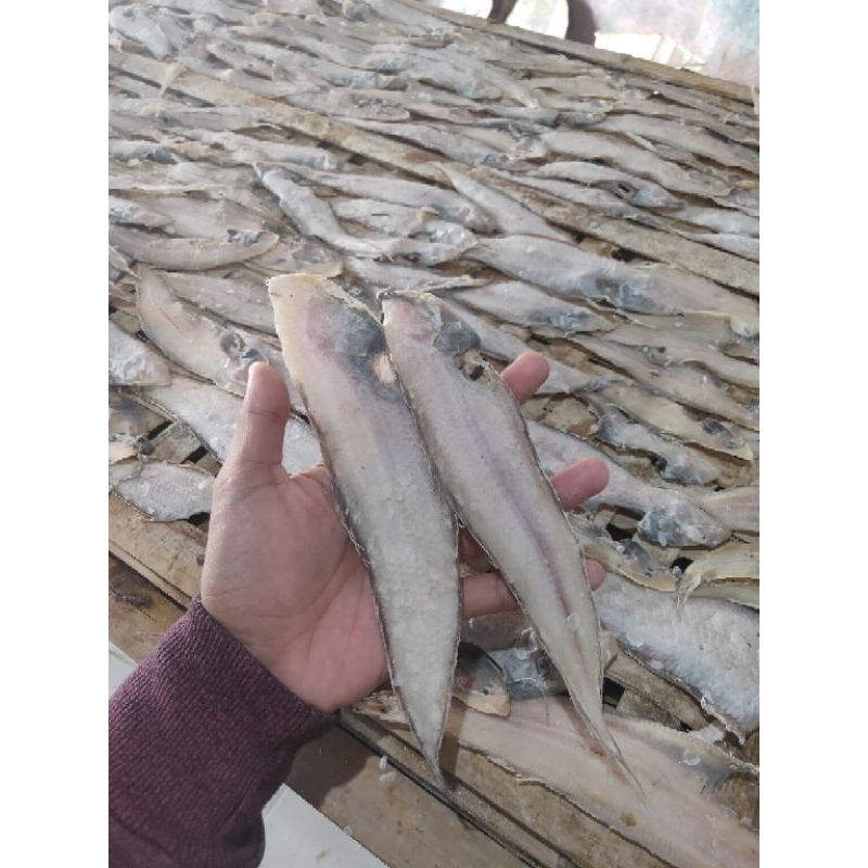 Jual GROSIR IKAN ASIN LIDAH / IKAN SEBELAH ISI 10KG ( 1DUS ) | Shopee ...