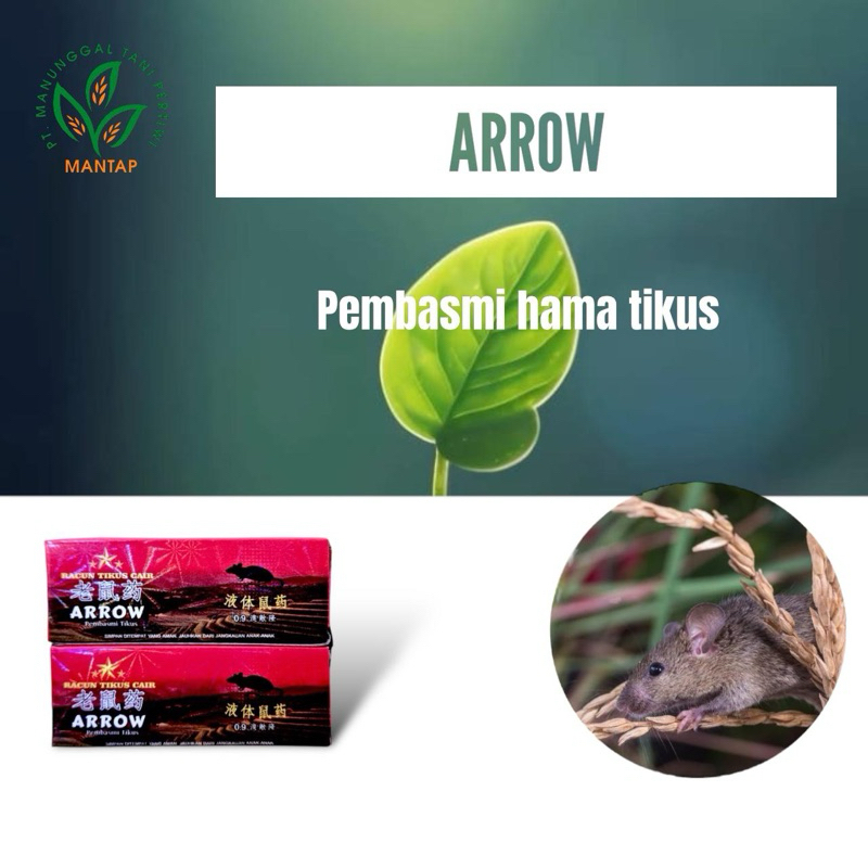 Jual ARROW Pembasmi hama tikus | Shopee Indonesia