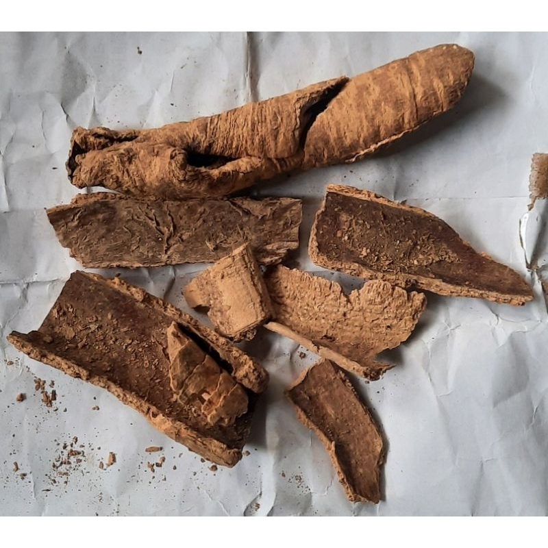 Jual kayu pule ( jamu herbal ) ( 1 ons / 100 gram ) | Shopee Indonesia