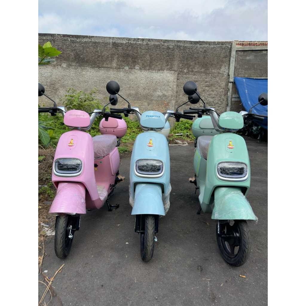 Jual Sepeda Listrik E-BIKE PHOENIX PX 270 Box Electric Bike 500 Watt ...