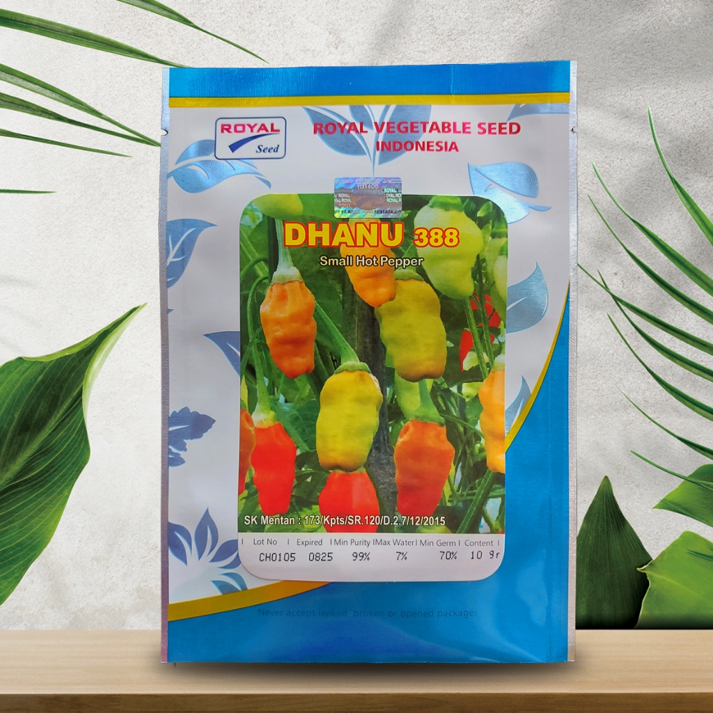 Jual Benih Cabai DHANU 388 10gr | Shopee Indonesia