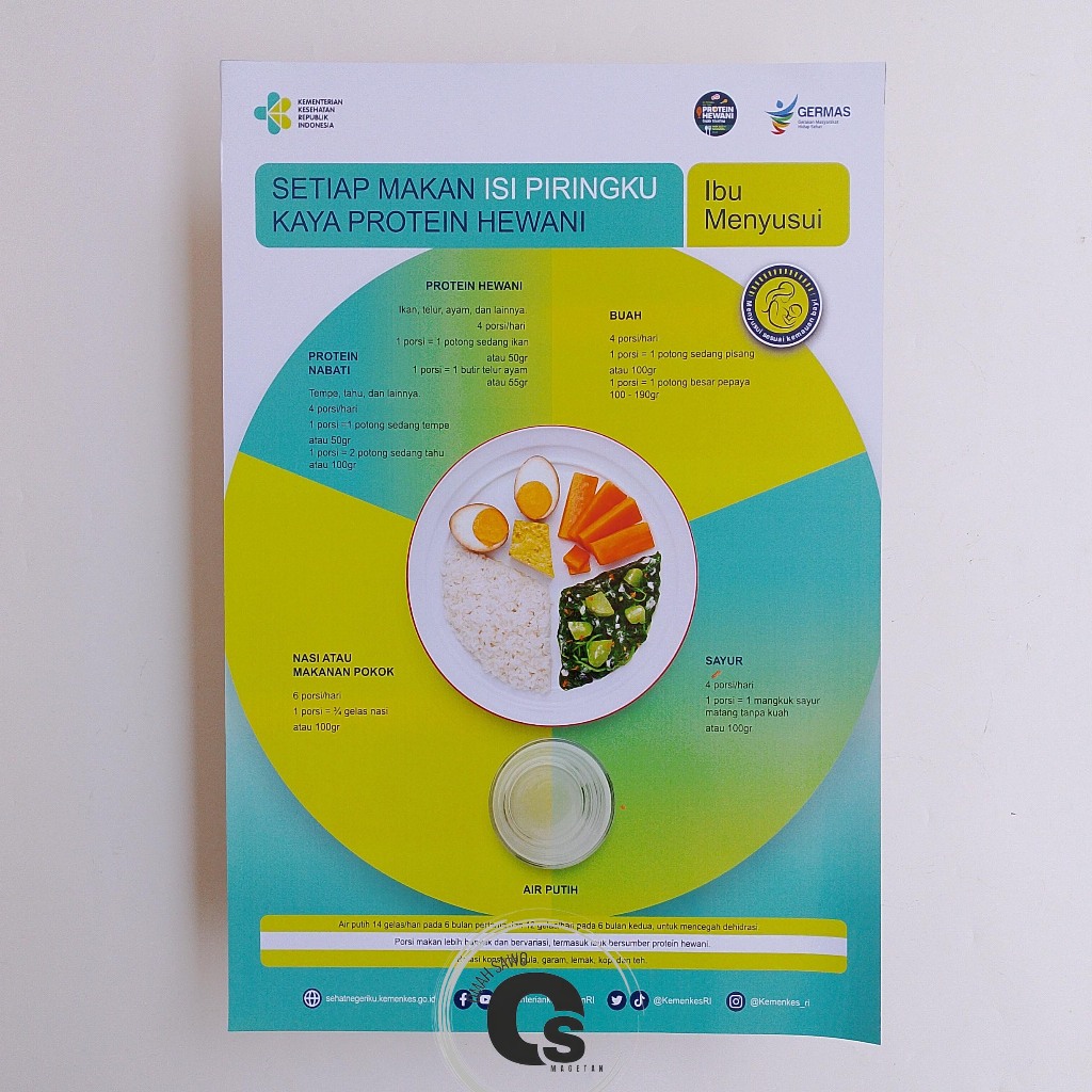 Jual Poster Isi Piringku Ibu Menyusui - Poster Gizi - GERMAS | Shopee ...