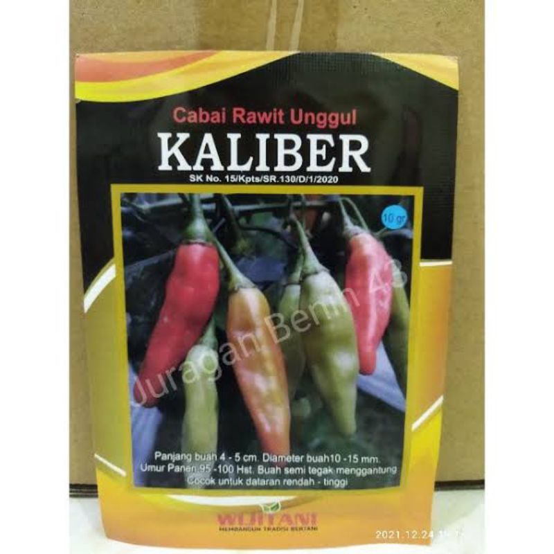 Jual Benih Original Cabe Rawit Unggul KALIBER 10g | Shopee Indonesia