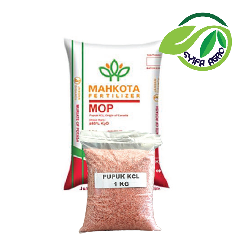 Jual PUPUK KCL MAHKOTA ORIGIN CANADA MURIATE OF POTASH MOP REPACK 1KG ...