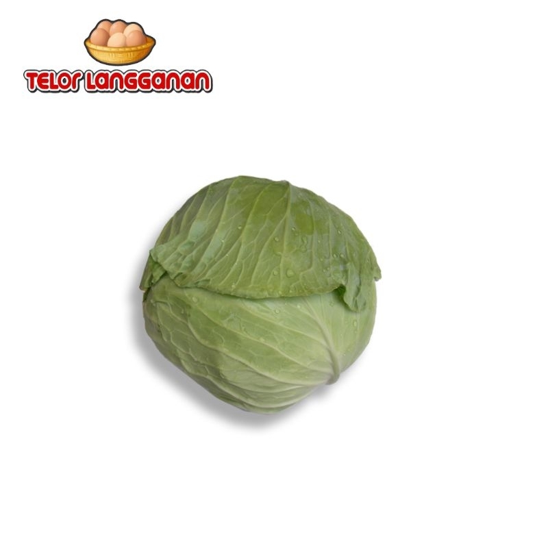 Jual Kembang Kol (Gobis) 1bulat besar | Shopee Indonesia