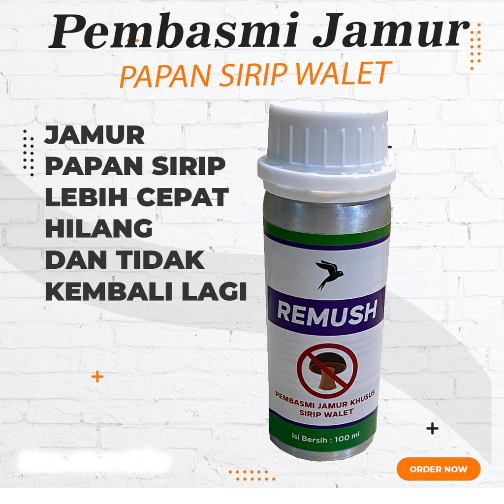 Jual Obat jamur papan sirip walet remush jamur sirip burung walet ...