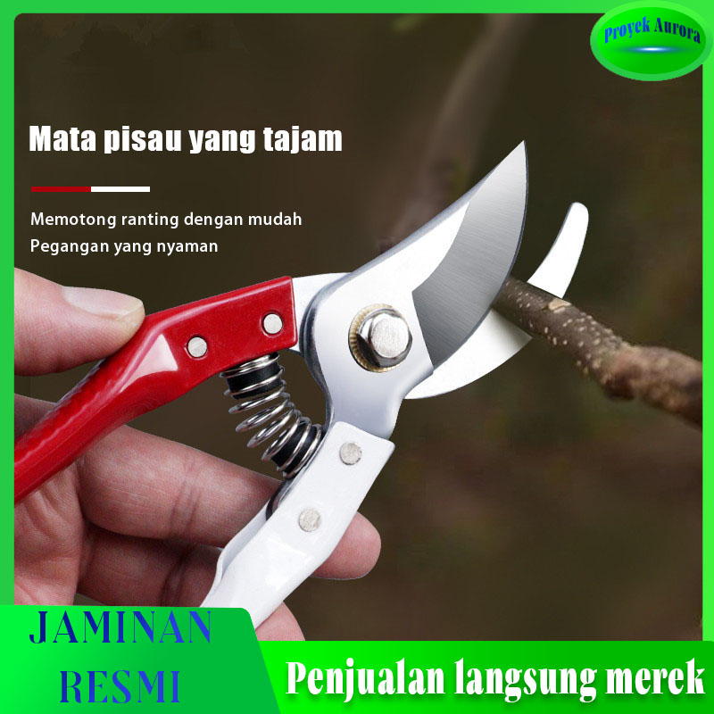 Jual (ada stok, dikirim dari jakarta) Gunting pangkas SK5, gunting ...