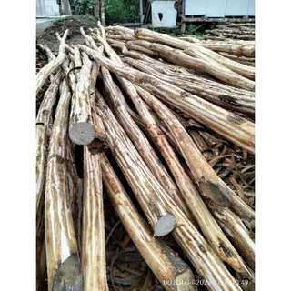 Jual Kayu Dolken Terlengkap & Harga Terbaru Mei 2024 | Shopee Indonesia