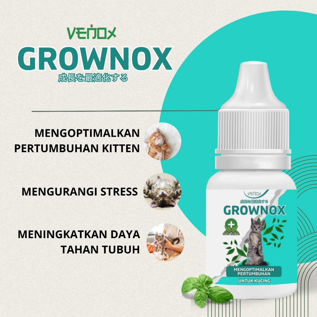 Jual GROWNOX OBAT - Venox Obat Vitamin Anak Kucing Nutrisi Pertumbuhan ...