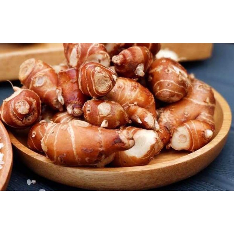 Jual kencur segar 1kg | Shopee Indonesia