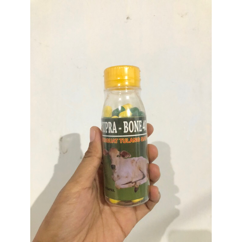 Jual SUPRA BONE 40 kapsul Penguat Tulang Otot Sapi Yang pincang Lumpuh ...