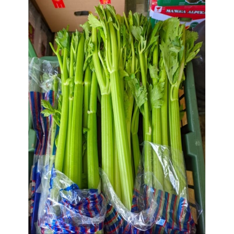 Jual Celery Stick / pack [ 650gr - 1kg ] | Shopee Indonesia