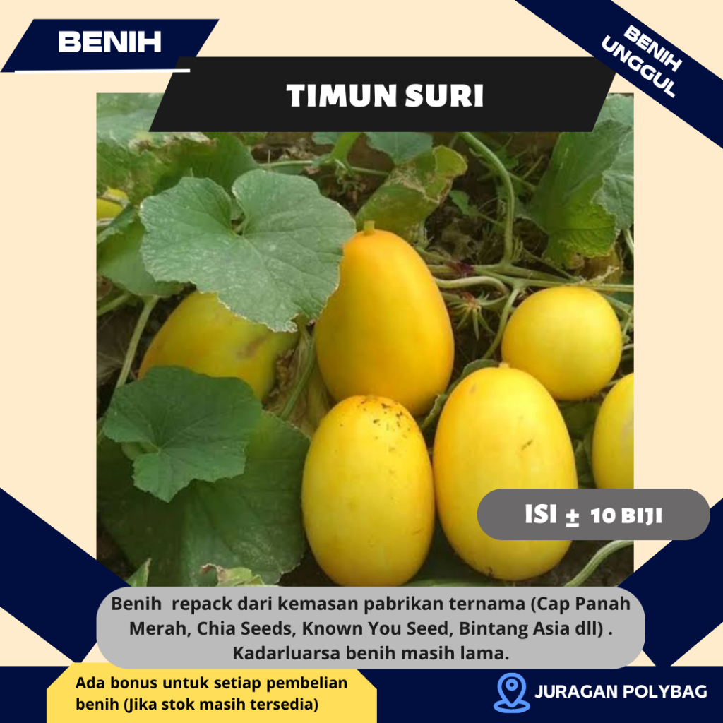Jual 10 Biji - Benih Timun Suri dari Trias Agro | Shopee Indonesia