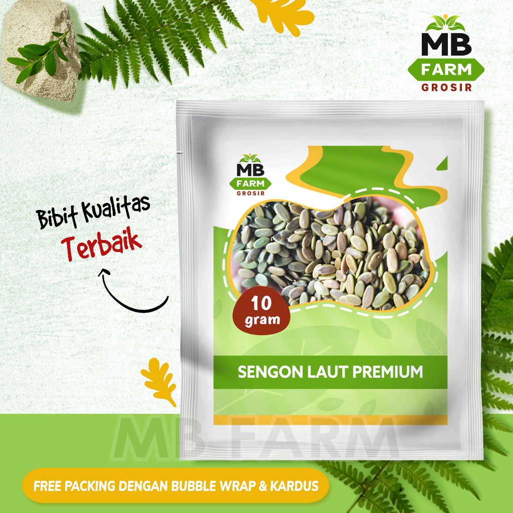 Jual Benih sengon laut premium 10 gram bibit pohon sengon laut super MB ...