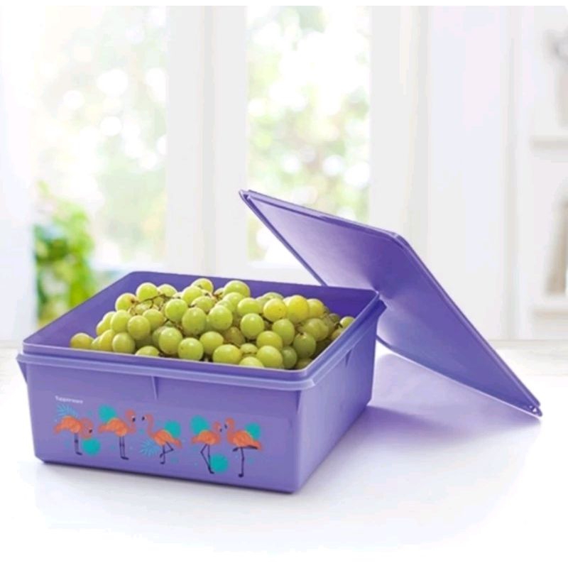 Jual Square Keeper Tupperware | Shopee Indonesia